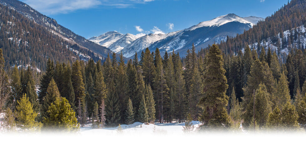 Contact Us | Camber Townhomes At Keystone